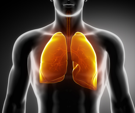 Com | Importance of Respiratory Muscle Training WP – PowerLung Inc